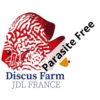 Discus Shop